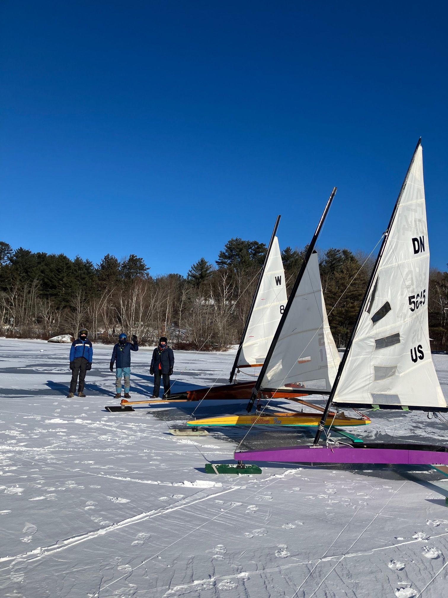 Like a Lion | New England Ice Yacht Association